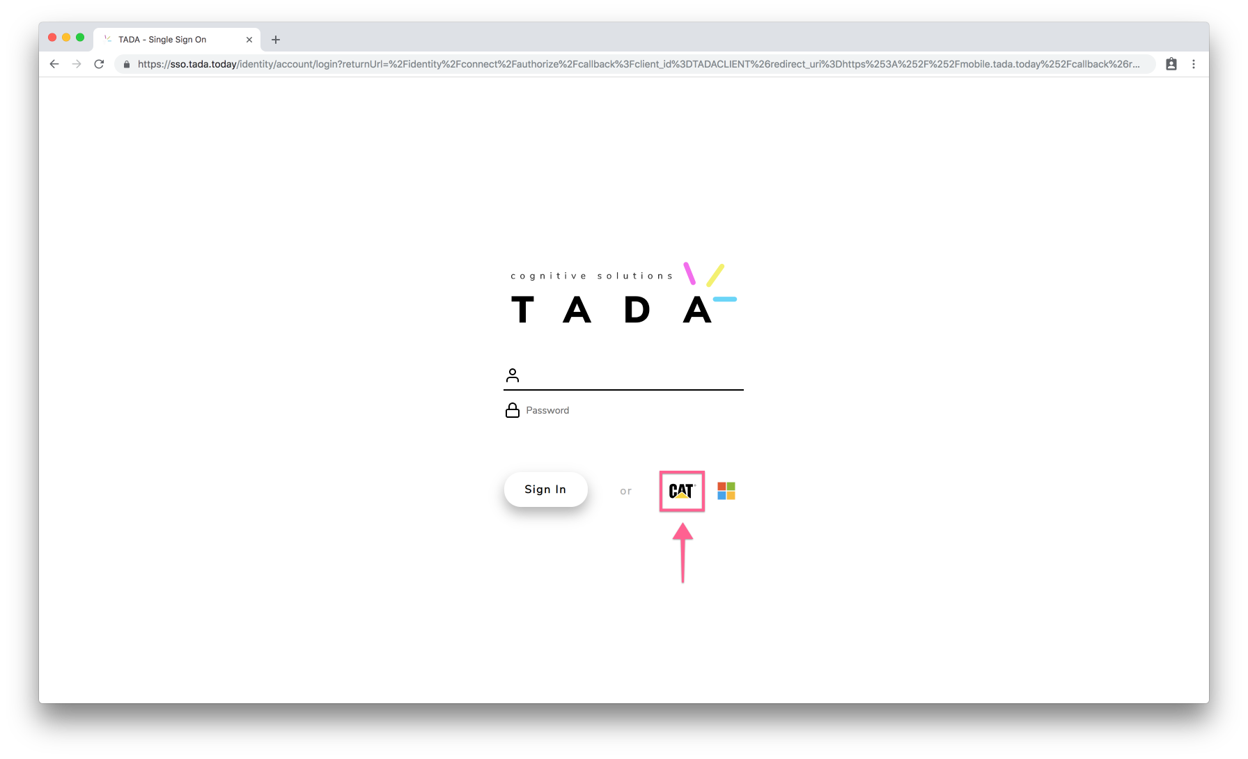 Logging in With CWS – Tada Cognitive Solutions